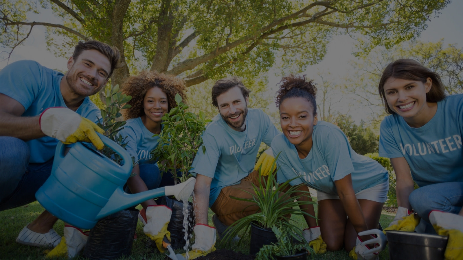 Get Involved | CAPHR